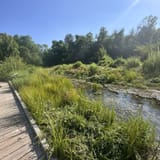 Cascade Springs Interpretive Trail, Utah - 533 Reviews, Map | AllTrails