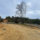 Bukit Botak Trail, Sabah, Malaysia - 290 Reviews, Map | AllTrails