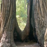 Bootjack Loop, California - 2,014 Reviews, Map | AllTrails