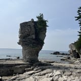Flowerpot Island Loop Trail, Ontario, Canada - 590 Reviews, Map | AllTrails