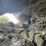 Flowerpot Island Loop Trail, Ontario, Canada - 593 Reviews, Map | AllTrails