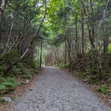 Tonsina Creek Trail, Alaska - 1,740 Reviews, Map | AllTrails