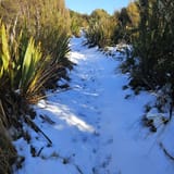 Swampy Summit, Burns Creek, and Leith Saddle Loop, Otago, New Zealand ...