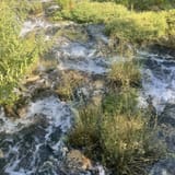 Cascade Springs Interpretive Trail, Utah - 533 Reviews, Map | AllTrails