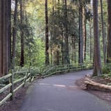 North Creek Trail, Washington - 545 Reviews, Map | AllTrails