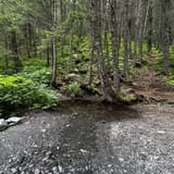 Two Lakes Trail, Alaska - 550 Reviews, Map | AllTrails