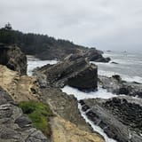 Cape Arago Loop Trail, Oregon - 382 Reviews, Map | AllTrails