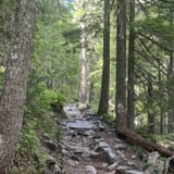 Rampart Ridge Loop, Washington - 2,749 Reviews, Map | AllTrails