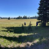 Berkeley Park Trail, Washington - 395 Reviews, Map | AllTrails