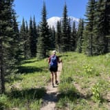 Berkeley Park Trail, Washington - 387 Reviews, Map | AllTrails