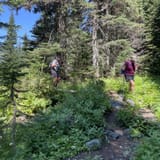 Berkeley Park Trail, Washington - 387 Reviews, Map | AllTrails