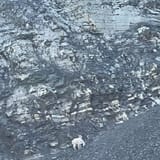 Crypt Lake Trail, Alberta, Canada - 2,747 Reviews, Map | AllTrails