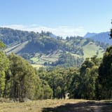 Taggerty River Lookout Loop, Victoria, Australia - 67 Reviews, Map ...