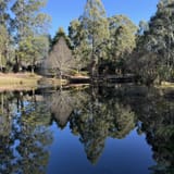 Taggerty River Lookout Loop, Victoria, Australia - 67 Reviews, Map ...