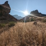 Timber Gulch, Oregon - 58 Reviews, Map | AllTrails