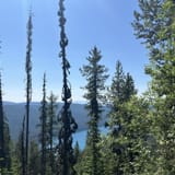 Numa Lookout, Montana - 339 Reviews, Map | AllTrails