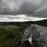 Kesugi Ridge (Curry Ridge) Trail, Alaska - 223 Reviews, Map | AllTrails