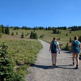 Burroughs Mountain Loop Trail, Washington - 2,388 Reviews, Map | AllTrails