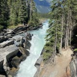 Numa Falls, British Columbia, Canada - 352 Reviews, Map | AllTrails