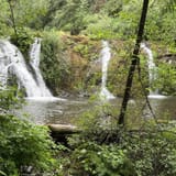 Beaver Falls, Washington - 283 Reviews, Map | AllTrails