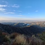 Wisdom Tree, Cahuenga Peak and Mount Lee Summit Loop, California ...