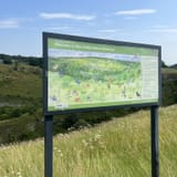 Chee Dale Gorge Circular, Derbyshire, England - 1,804 Reviews, Map ...