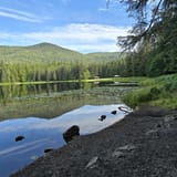 Ward Lake Trail, Alaska - 157 Reviews, Map | AllTrails