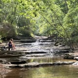 Tanyard Perimeter Loop, Arkansas - 3,137 Reviews, Map | AllTrails