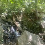 Carderock Park Loop, Maryland - 1,354 Reviews, Map | AllTrails