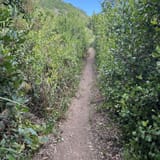 Forrestal Preserve Loop, California - 1,206 Reviews, Map | AllTrails