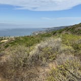 Forrestal Preserve Loop, California - 1,206 Reviews, Map | AllTrails
