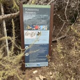 Forrestal Preserve Loop, California - 1,206 Reviews, Map | AllTrails
