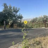 Jordan River Parkway Trail, Utah - 826 Reviews, Map | AllTrails