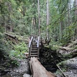 Fern Creek, Lost, and Canopy Trail Loop, California - 2,911 Reviews ...