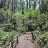 Fern Creek, Lost, and Canopy Trail Loop, California - 2,911 Reviews ...
