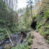Multnomah Falls Trail, Oregon - 7,782 Reviews, Map | AllTrails