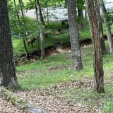 White Bison Loop, Missouri - 2,574 Reviews, Map | AllTrails