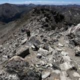 Mount Massive Trail, Colorado - 1,298 Reviews, Map | AllTrails