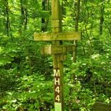 Monocacy Hill Trail, Pennsylvania - 2,009 Reviews, Map | AllTrails