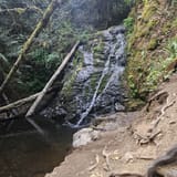 Dickerson Falls, Washington - 2,711 Reviews, Map | AllTrails