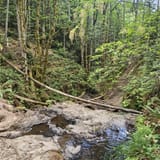 Dickerson Falls, Washington - 2,711 Reviews, Map | AllTrails