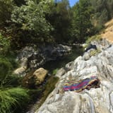 Natural Bridge Trail, California - 1,401 Reviews, Map | AllTrails