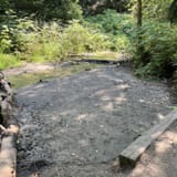 Dash Point Trail, Washington - 1,354 Reviews, Map | AllTrails