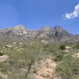 Organ Needle Trail, New Mexico - 868 Reviews, Map | AllTrails