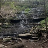 Wadsworth Falls Loop, Connecticut - 4,889 Reviews, Map | AllTrails