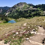 High Divide and Seven Lakes Basin Loop, Washington - 1,317 Reviews, Map ...