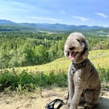 Fullerton Loop Trail, Alberta, Canada - 4,220 Reviews, Map | AllTrails