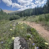 Abyss Trail to Helms Lake, Colorado - 2,666 Reviews, Map | AllTrails