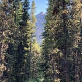 Castle Mountain Lookout Trail, Alberta, Canada - 2,115 Reviews, Map ...