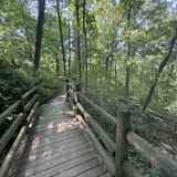 Harpeth Woods Trail, Tennessee - 2,675 Reviews, Map | AllTrails